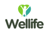 Wellife Herbal Warming Knee Patches